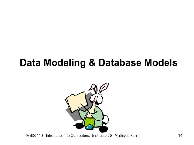 Chapter 5 - Organizing Data and Information | PPT | Databases | Computer Software and Applications