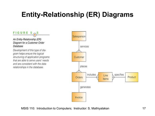 Chapter 5 - Organizing Data and Information | PPT | Databases | Computer Software and Applications