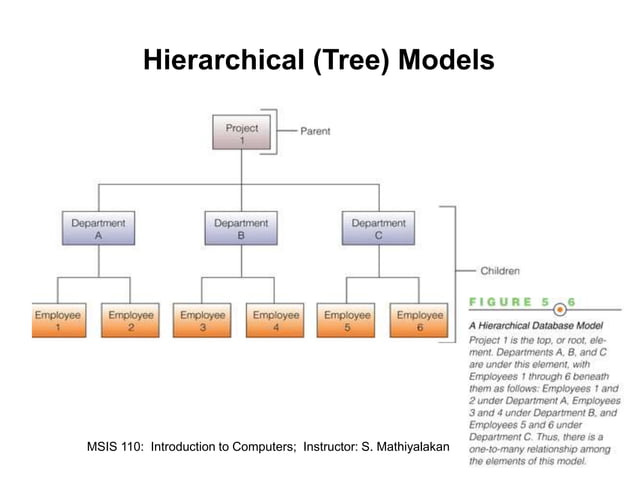 Chapter 5 - Organizing Data and Information | PPT | Databases | Computer Software and Applications