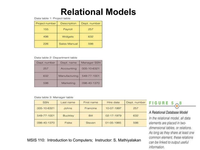 Chapter 5 - Organizing Data and Information | PPT | Databases | Computer Software and Applications