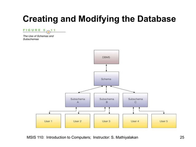 Chapter 5 - Organizing Data and Information | PPT | Databases | Computer Software and Applications