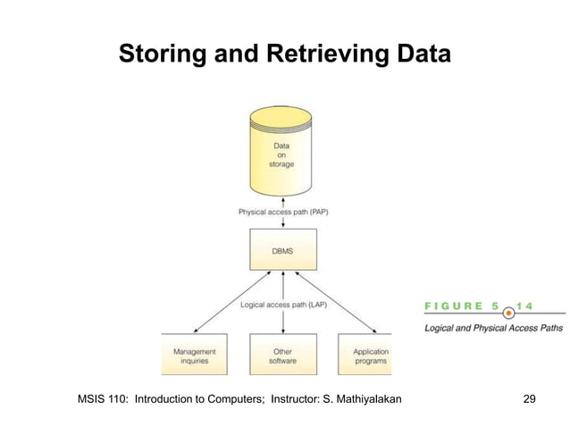 Chapter 5 - Organizing Data and Information | PPT | Databases | Computer Software and Applications