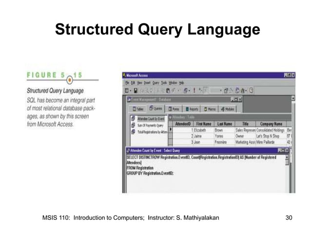 Chapter 5 - Organizing Data and Information | PPT | Databases | Computer Software and Applications