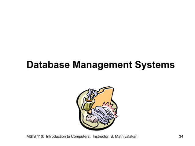 Chapter 5 - Organizing Data and Information | PPT | Databases | Computer Software and Applications