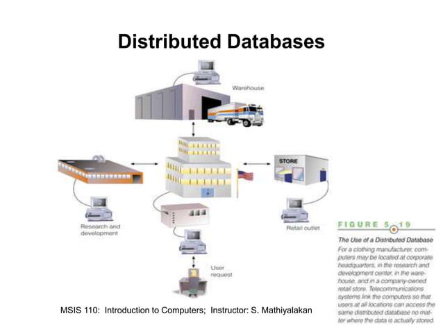 Chapter 5 - Organizing Data and Information | PPT | Databases | Computer Software and Applications