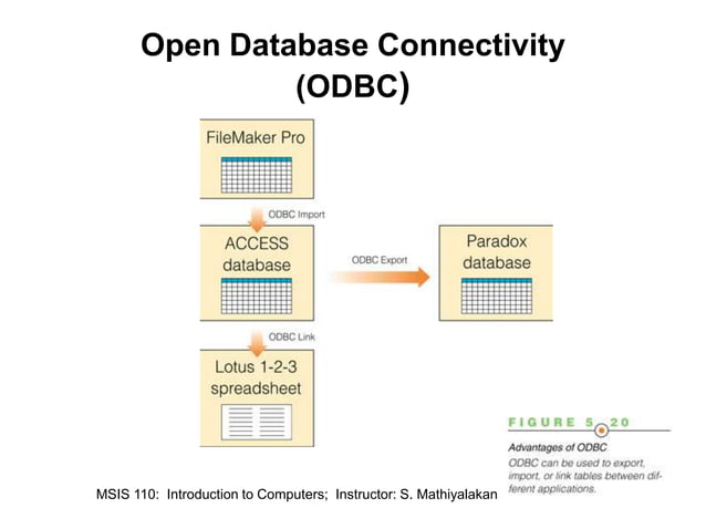 Chapter 5 - Organizing Data and Information | PPT | Databases | Computer Software and Applications