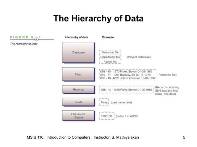 Chapter 5 - Organizing Data and Information | PPT | Databases | Computer Software and Applications