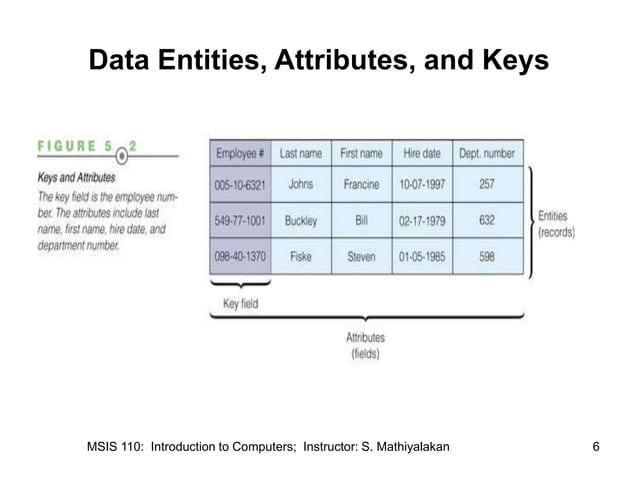 Chapter 5 - Organizing Data and Information | PPT | Databases | Computer Software and Applications