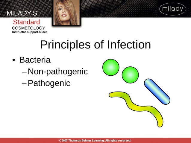 Chapter 05 Infection Control Principles & Practices | PPT | Infectious ...