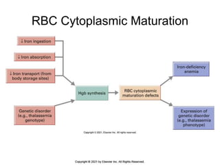 Nursing Anemia Drugs FOr Pharmacology and Therapeutics | PPTX