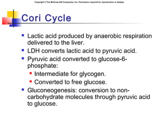 Chapter05 cell respiration and metabolism | PPT