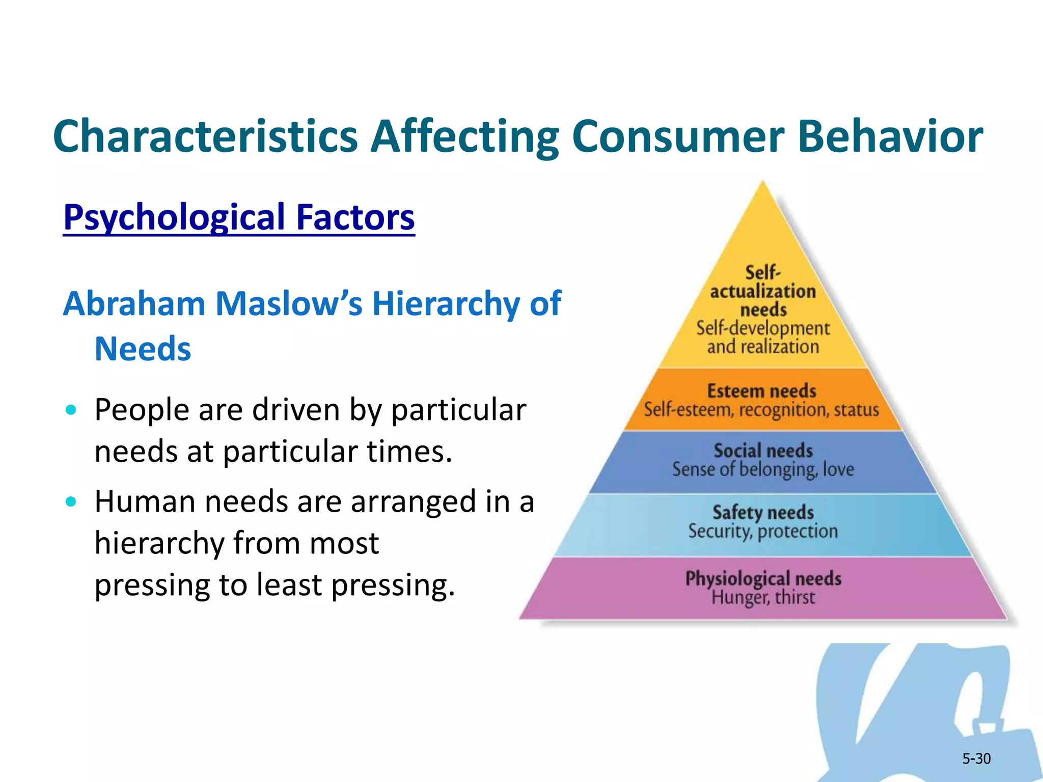 Consumer Behaviour.pdf