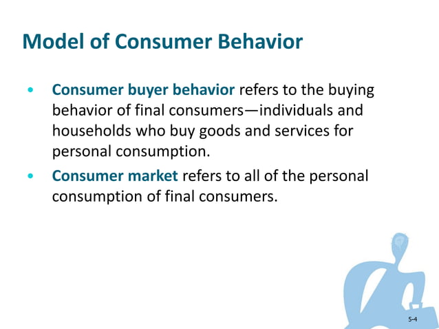 Consumer Behaviour.pdf