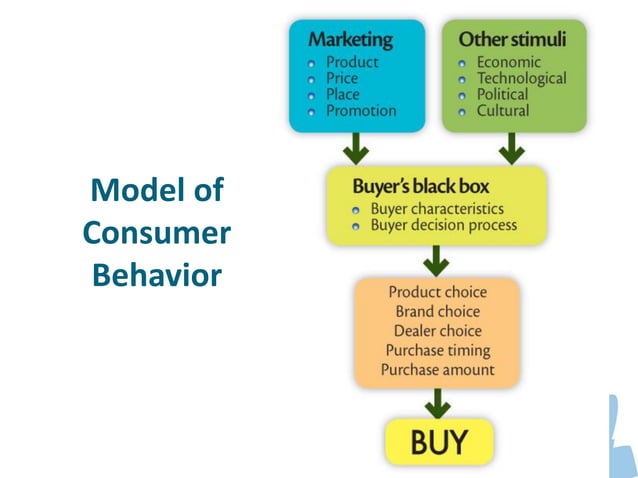 Consumer Behaviour.pdf