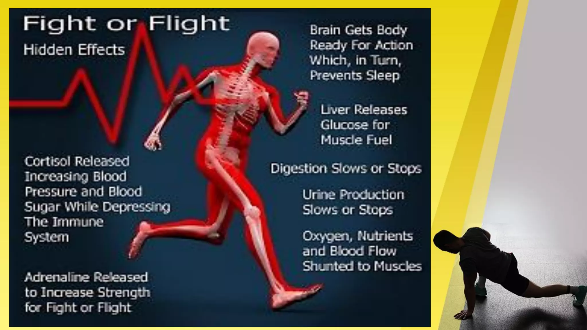 Edexcel IGCSE Human Biology - Chapter 06 - Chemical Coordination | PDF