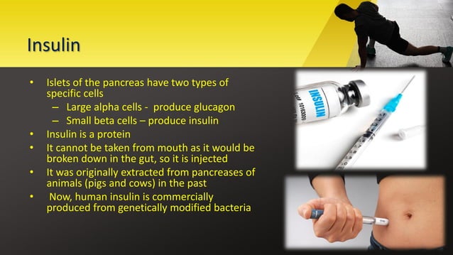 Edexcel IGCSE Human Biology - Chapter 06 - Chemical Coordination | PDF