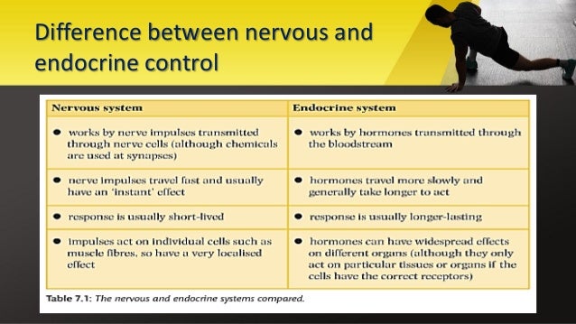 Edexcel IGCSE Human Biology - Chapter 06 - Chemical Coordination