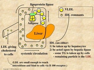 Chapter_069 (Lipid metabolism physio).ppt