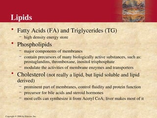 Chapter_069 (Lipid metabolism physio).ppt