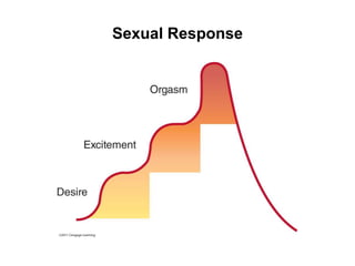 Sexual Arousal Mechanisms in Female - Normal Physiology | PPT