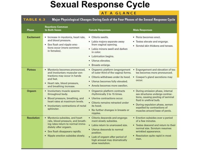 Sexual Arousal Mechanisms in Female - Normal Physiology | PPT | Sexual ...