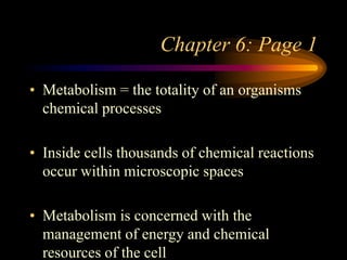 Chapter06 metabolism | PPT