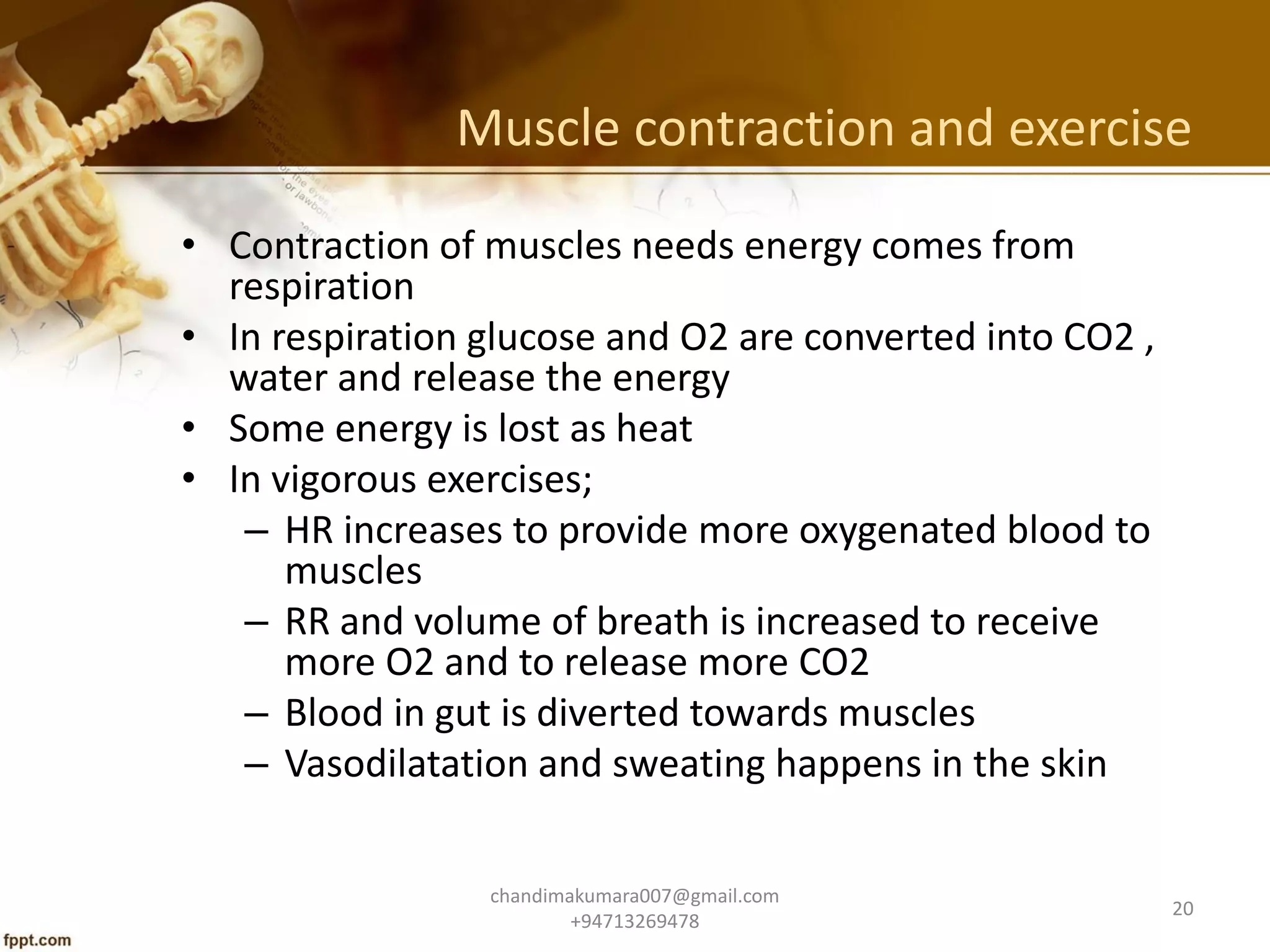 Edexcel IGCSE - Human Biology - Chapter 07 - Form & Movement | PDF