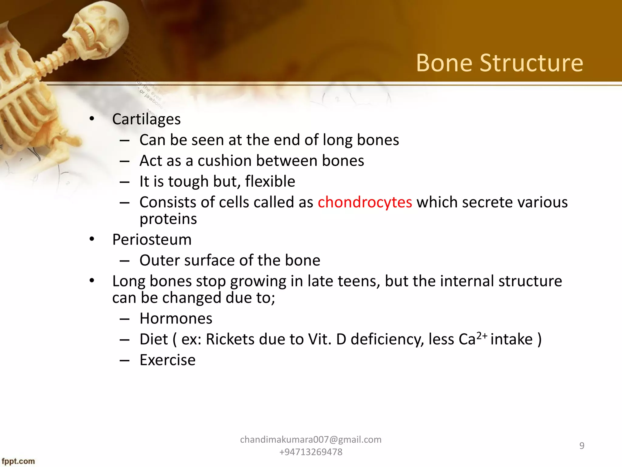 Edexcel IGCSE - Human Biology - Chapter 07 - Form & Movement | PDF