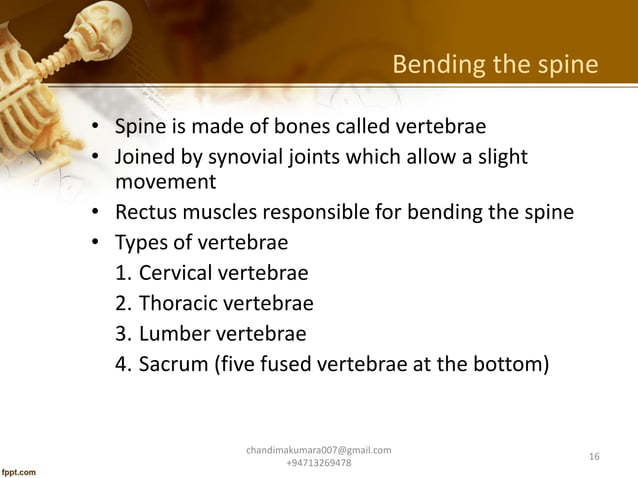Edexcel IGCSE - Human Biology - Chapter 07 - Form & Movement | PDF ...