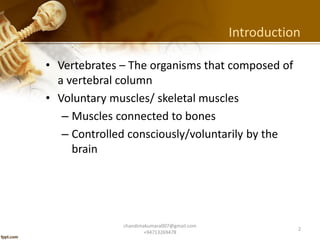 Edexcel IGCSE - Human Biology - Chapter 07 - Form & Movement | PDF