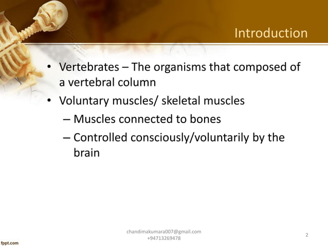 Edexcel IGCSE - Human Biology - Chapter 07 - Form & Movement | PDF ...