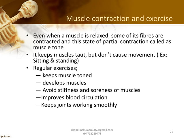 Edexcel IGCSE - Human Biology - Chapter 07 - Form & Movement | PDF ...
