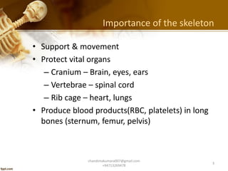Edexcel IGCSE - Human Biology - Chapter 07 - Form & Movement | PDF