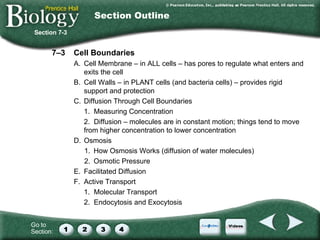 Chapter07 Revised | PPT