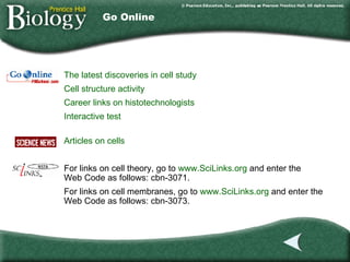 Chapter07 Revised | PPT