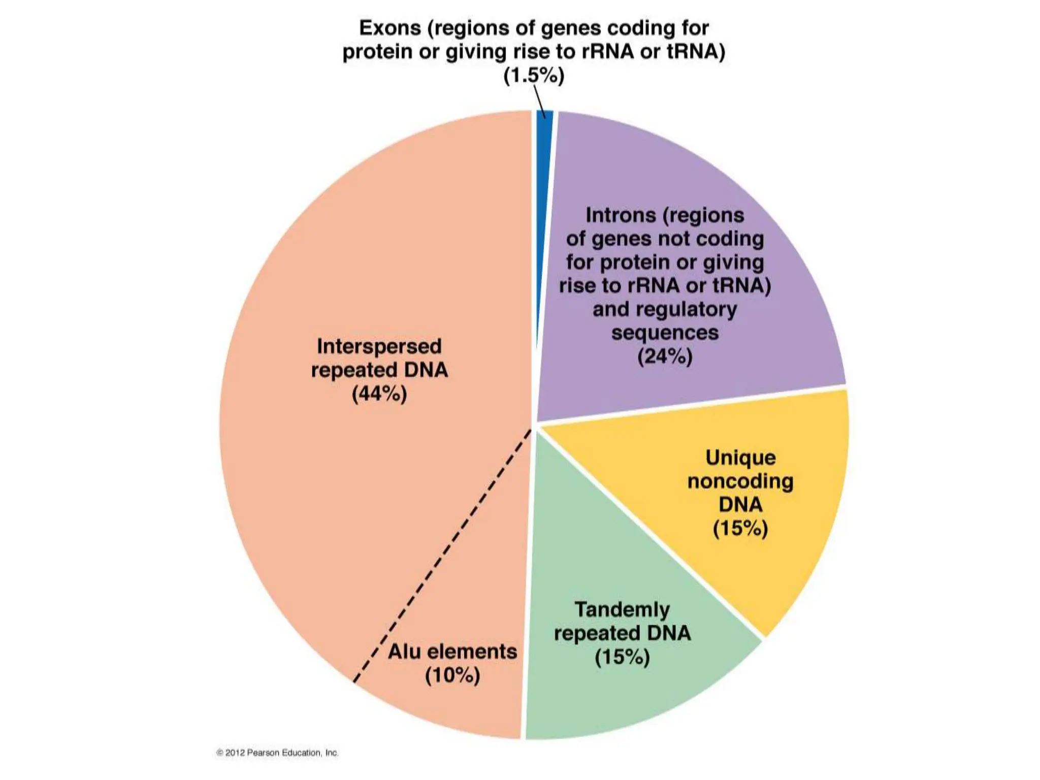 Transposable Elements In Prokaryotes Ppt