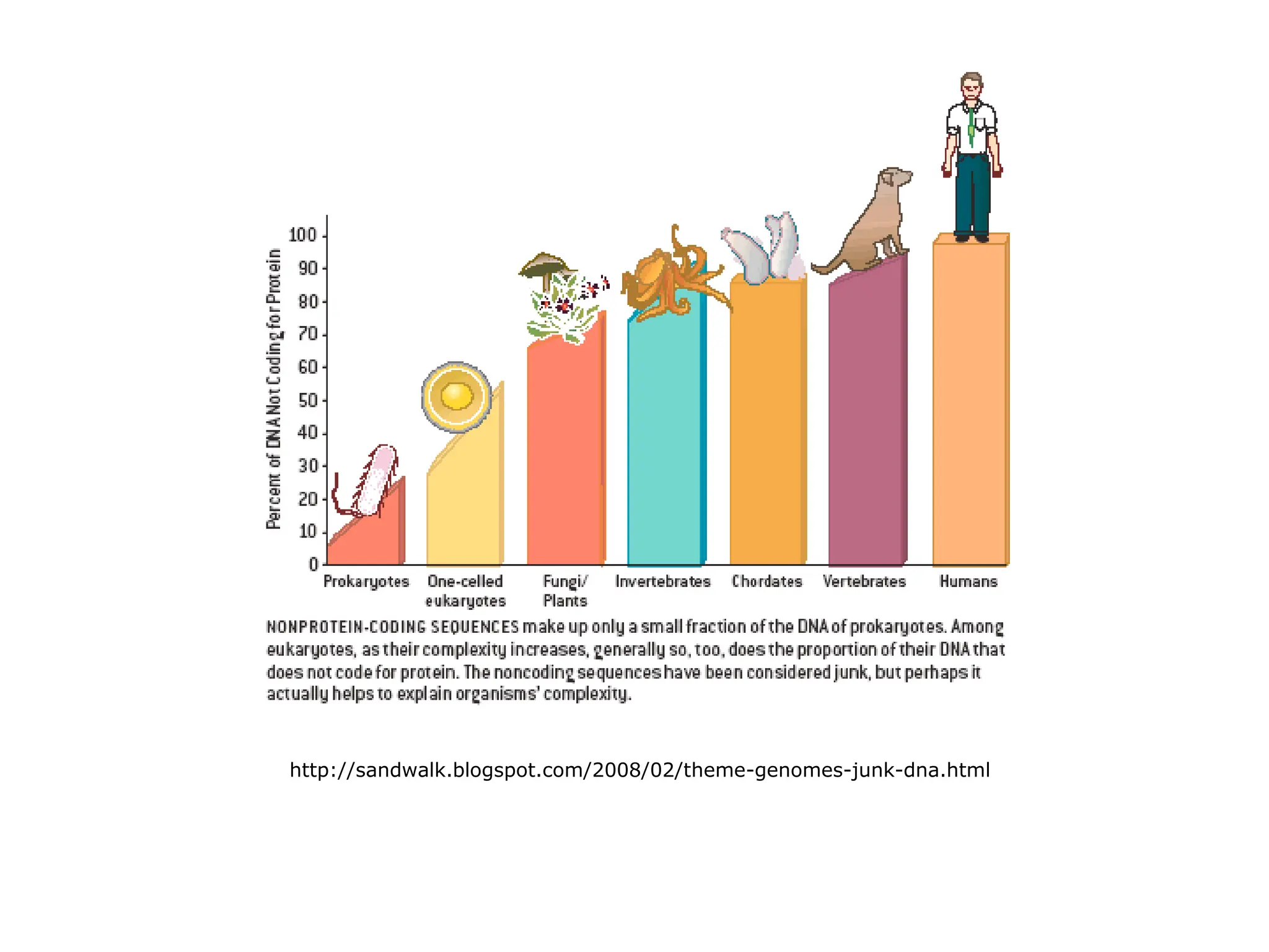 Transposable Elements In Prokaryotes Ppt