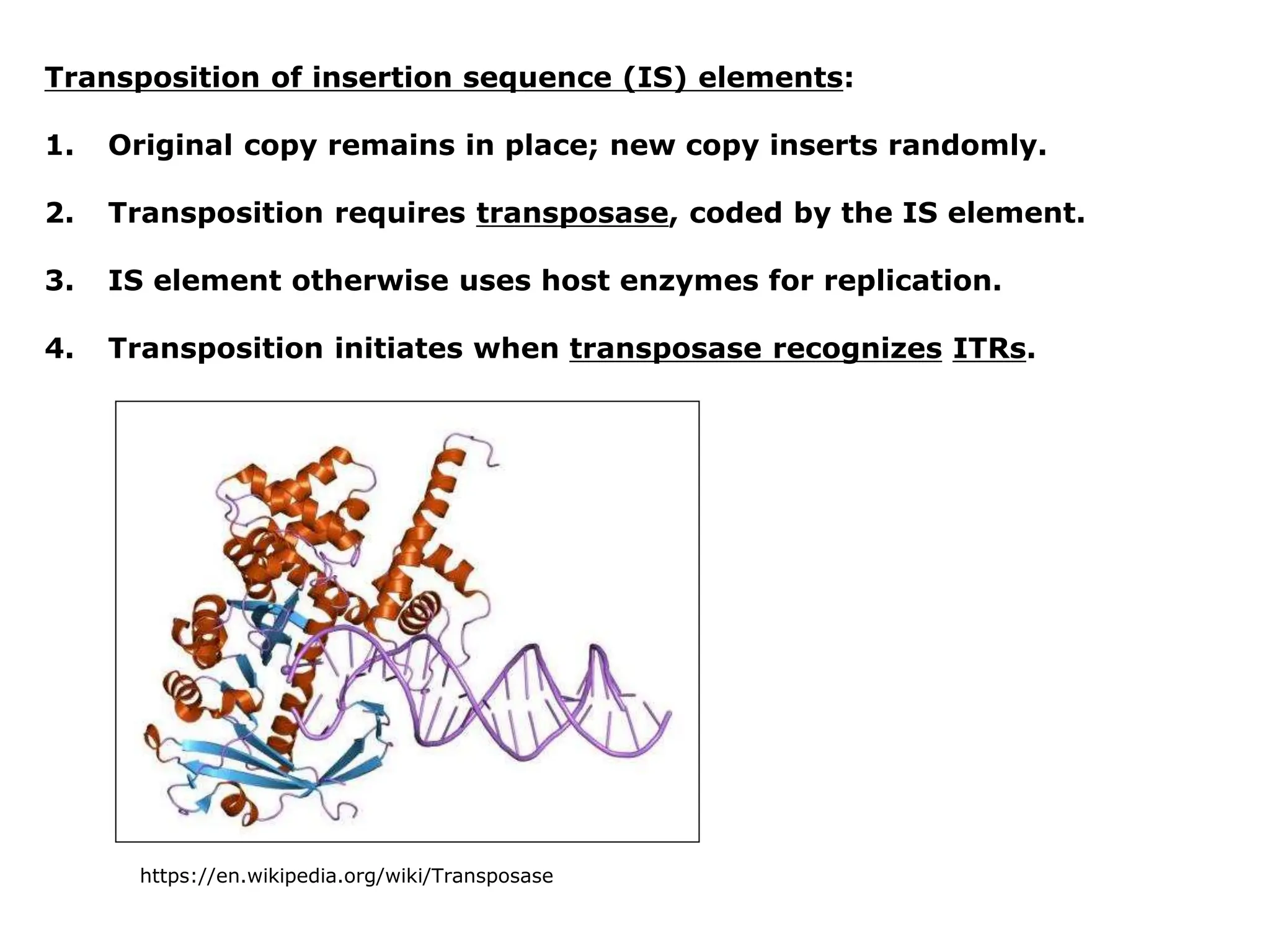 Transposable Elements In Prokaryotes Ppt Programming Languages