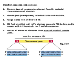 Transposable elements in prokaryotes.ppt