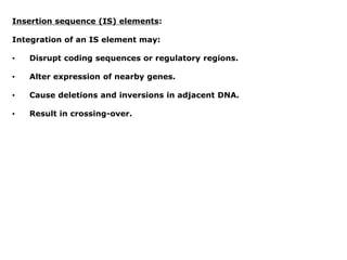 Transposable elements in prokaryotes.ppt