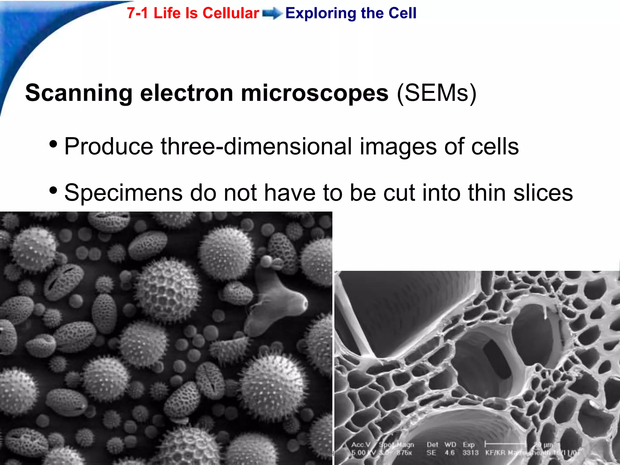 chapter07_section01_edit.ppt