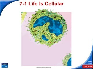 chapter07_section01_edit.ppt