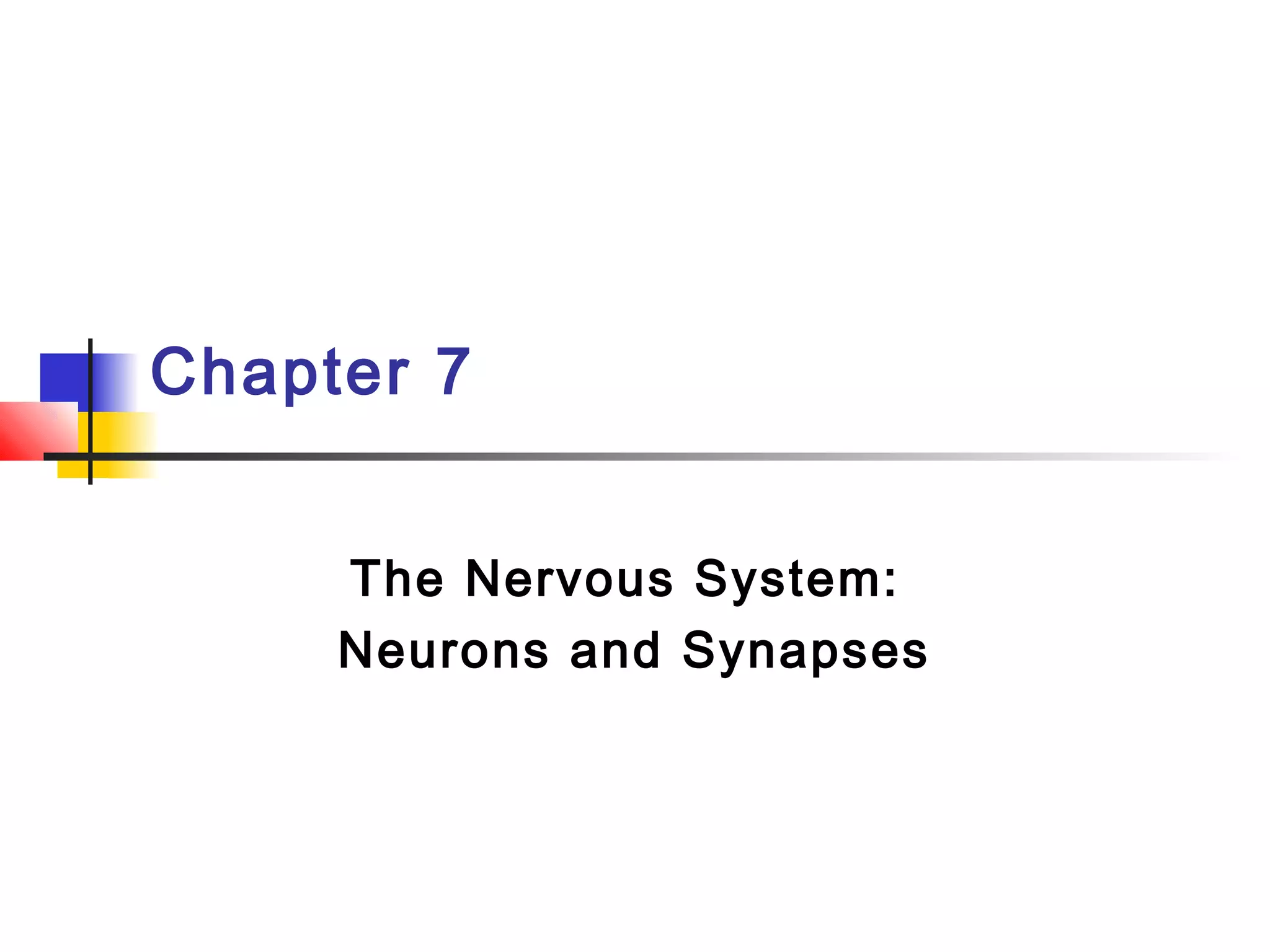 Chapter07 the nervous system | PPT