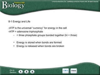 Chapter08 Revised | PPT