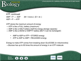 Chapter08 Revised | PPT