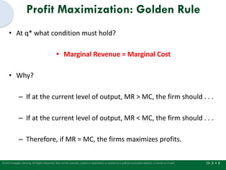 Intermediate Microeconomics chapter 8 slides | PDF