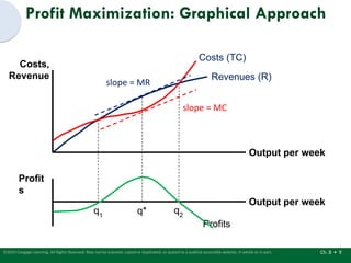 Intermediate Microeconomics chapter 8 slides | PDF