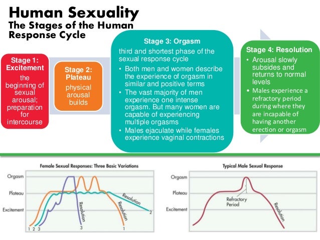 Chapter08 intro to psy duplicate
