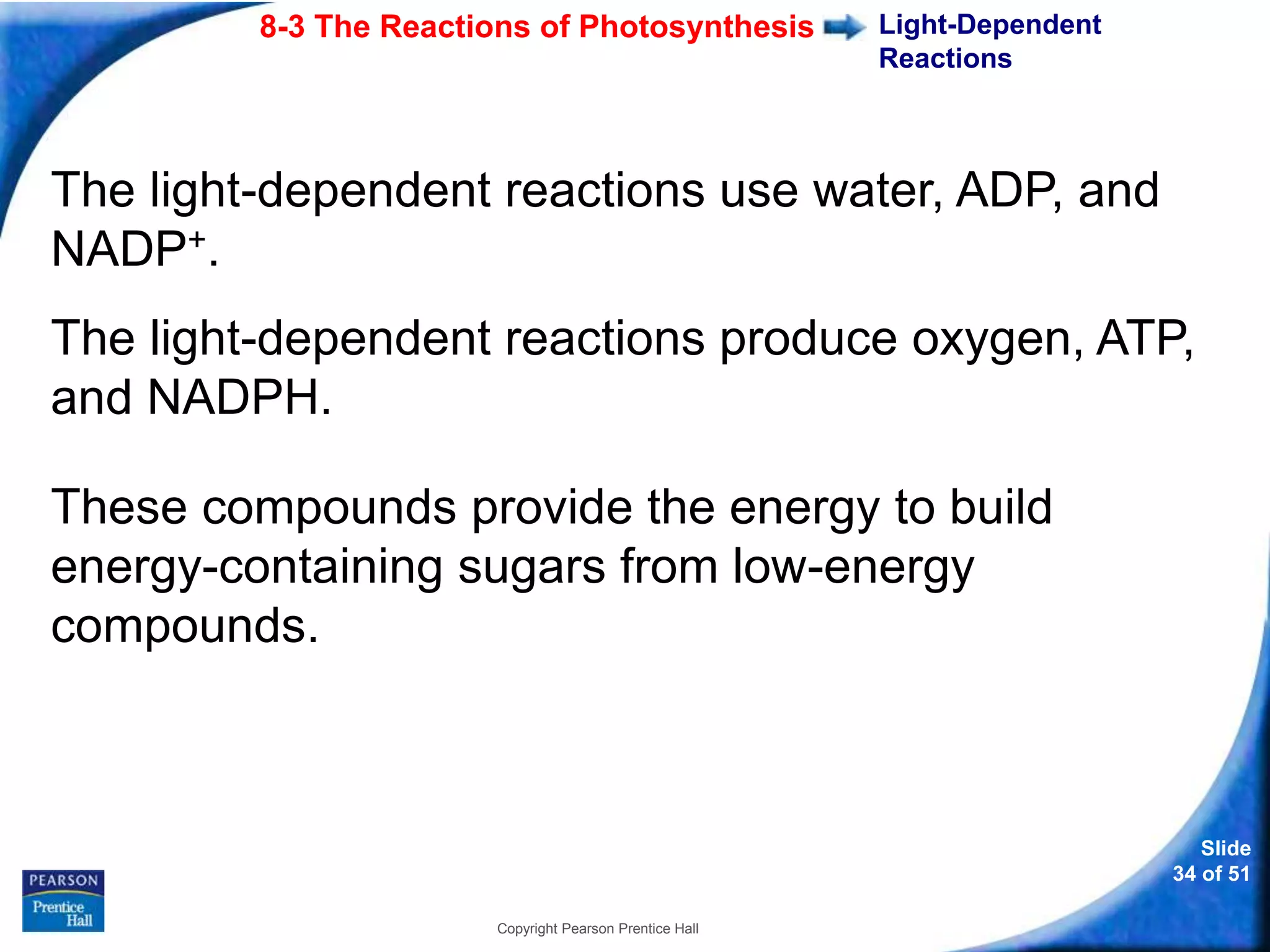 Biology 11- Photosynthesis.ppt
