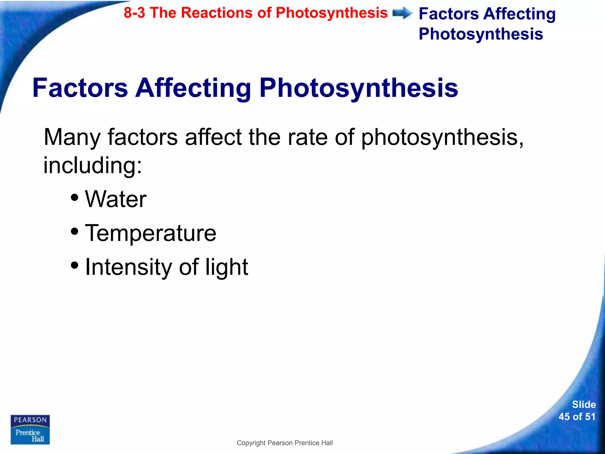 Biology 11- Photosynthesis.ppt